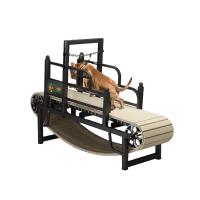 China 220 lb Capacity Dog Treadmill for Daily Training Enhance Your Dog's Well-Being for sale