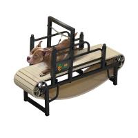 China 220 lb Capacity Dog Treadmill for Daily Training Enhance Your Dog's Well-Being for sale