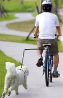 China All Bikes Easy to Install Bicycle Dog Leash Safety Dog Bike Leash Suitable for Black for sale