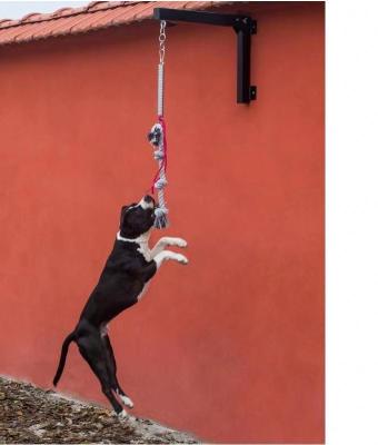 China Sturdy Steel Spring Pole Support for Pitbulls Sustainable and Heavy-Duty Design for sale