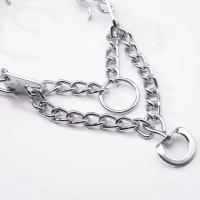 China Walking Dog Explosion-Proof Sustainable Stainless Steel Collar for Safe and Training for sale