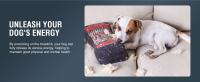 China Shanghai or Nanjing Port Convenient Shipping for Our Dog Walking Machine Treadmill for sale