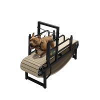 China Shipping from Shanghai or Nanjing Port Stainless Steel Dog Treadmill for sale