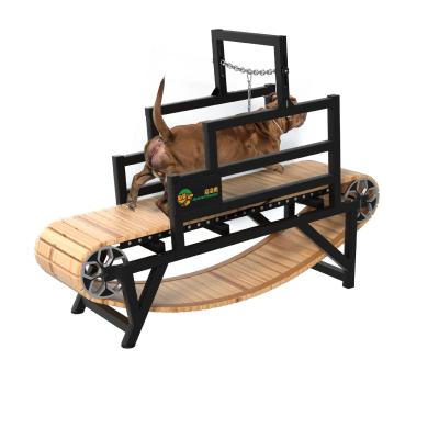 China Dog Treadmill Aluminum Treadmill for Pets Shipping from Shanghai or Nanjing Port for sale