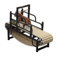 China Pet Training Treadmill for Big Dogs Other Pet Products from Shanghai or Nanjing Port for sale