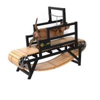 China Pet Running Sustainable REPTILES Agility Training Wood Equipment for Indoor Sports for sale