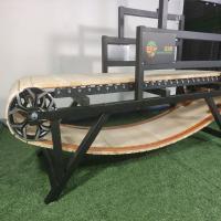 China Sustainable Treadmill Machine Custom Logo Metal Steel Slatmill for Dogs and Pit Bulls for sale