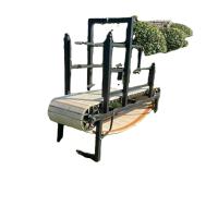 China 20 GP Loading 10 Tons Pet Walking and Training Dog Treadmill with Customized Logo for sale