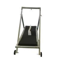 China 2024 Latest Alipetsmile Pets Dog Treadmill with Aluminum Cortex and OEM ODM Acceptable for sale