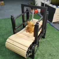 China Customized Size Pet Training Supplies Dog Treadmill for Behavior Training Products for sale