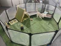 China Pet Playpen Cat Kennel House Dog Fence Pen Small Animals Button Closure Acrylic Aluminium for sale