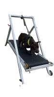 China Fast Shipping to Shanghai or Nanjing Port Dog Treadmill for Medium and Large Dogs for sale