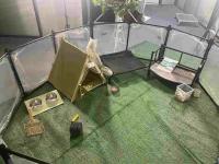 China DIY Transparent Foldable Yard Pet Fence Cage 6/8/10/12 Pcs for Portable Pet Playpen for sale