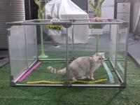 China Indoor Pet Playpen Kennel with Fashion Style Animal Pattern and Dog Exercise Fence for sale
