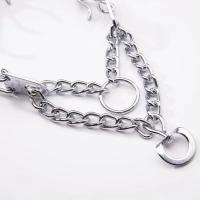 China Modern Style Pet Training Chain Dog Collar Silver Material for Effective Training for sale