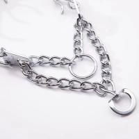 China Pet Training Stainless Steel Dog Collar Chain with Anodizing and Sandblasted Finish for sale