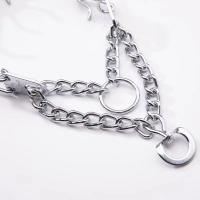 China Electrophoresis Pet Training Chain Dog Collar with Anodizing and Powder Coating for sale