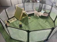 China Quadrate Transparent Folding Pet Fence Easy-to-Assemble and Customized Size for Dogs for sale