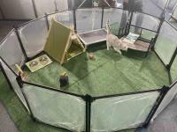China Small Animals Acrylic Transparent Folding Pet Fence for Easy Wearing and Fun Dog Games for sale