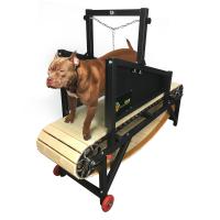 China Medium/Large Dog Treadmill with Aluminum Cortex Promotes Exercise Healthy Pet Life Indoor for sale