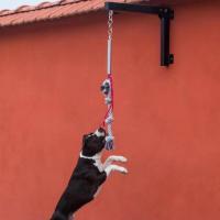 China Black Spring Pole for Dogs Sets Shipping Port Shanghai or Nanjing Port for sale