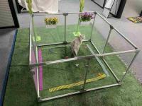 China Customized Lightweight Portable Animal Fence Pet Playpen Cage with Sturdy Flexibility for sale