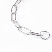 China Pet Training Stainless Steel Dog Collar with Metal Pulling Rope and Bite-proof Chain for sale