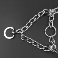 China Customer Size Metal Dismountable Dog Training Chain Collar with Personalized Training for sale