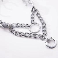 China Effective Training Stainless Steel Dog Collar with Customized Size and Material for sale