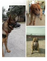 China Pet Anti Bark Bite Muzzle for Pitbull Shepherd Small Puppy Retriever Leather 15-25kg for sale