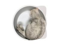 China Hand Wash Round Bowl Shaped Cat Nest Aluminium Material for Your Furry Companion for sale