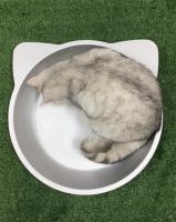 China Hand Wash Round Bowl Shaped Cat Nest Aluminium Material for Your Furry Companion for sale