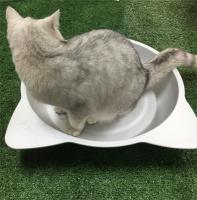 China Hand Wash Round Bowl Shaped Cat Nest Aluminium Material for Your Furry Companion for sale
