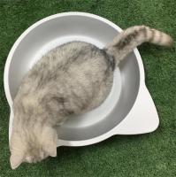 China Hand Wash Round Bowl Shaped Cat Nest Aluminium Material for Your Furry Companion for sale
