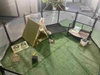 China Portable Pet Playpen for Indoor/Outdoor Customized Color 6/8/10/12 Pcs Button Closure for sale