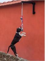 China Sturdy Steel Spring Pole for Medium and Large Dogs up to 105lbs/210lbs Built to Last for sale