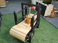 China Steel Wood Paper Materials Unpowered Dog Treadmill for Custom SAP Weight in Nanjing for sale