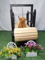 China Steel Wood Paper Materials Unpowered Dog Treadmill for Custom SAP Weight in Nanjing for sale