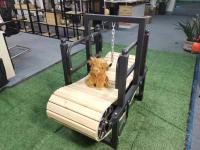 China Steel Wood Paper Materials Unpowered Dog Treadmill for Custom SAP Weight in Nanjing for sale