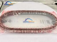 China Genuine 025CHA CVT Steel Chain 901096 for Chery Tiggo Series 28x15x10 cm 1.5 kg for sale