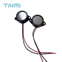 China High Decibel Waterproof IP67 IP68 Alarm Buzzer 12V 24V Active Buzzer for Harsh Environments for sale
