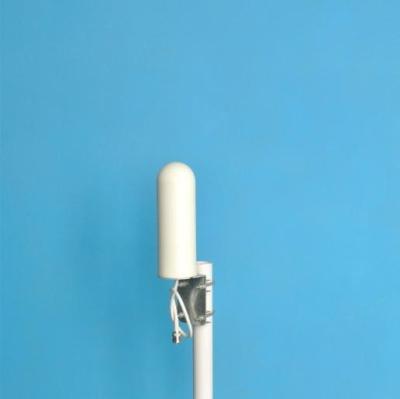 China AMEISON manufacturer Outdoor Omnidirectional Antenna 4dbi N female 806-2700mhz  for GSM/CDMA/PCS/3G/WLAN/LTE system for sale
