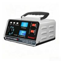 China 20A 12V/24V Fleet Battery Maintainer with Auto Voltage Detection for sale
