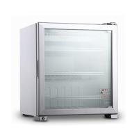 China 99L Upright Display Freezers Direct Cooling 220V/50HZ for sale