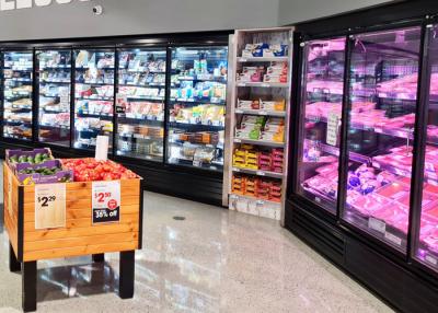 China Supermarket Upright Glass Door Display Freezer Low Temperature for sale