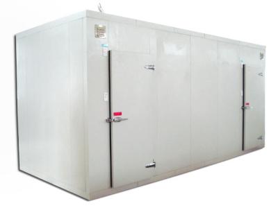 China Supermarkets Walk In Freezer Convenience Stores Restaurants Hotel color steel for sale