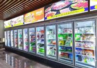 China Commercial Upright Freezer Glass Door 110V/60Hz 220-240V Plug In Type UF2 for ice cream for sale