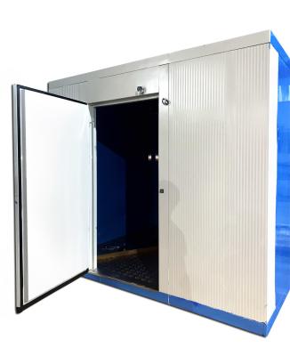 China Hotel Resort Supermarket Restaurant Walk In Freezer for sale