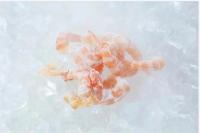 China UV Sterilization Ice Maker Machine Small Frost Free Silent Disassembly Free for sale