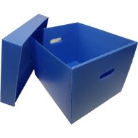 China Corrugated Polypropylene PP Plastic Archive Storage Box for sale